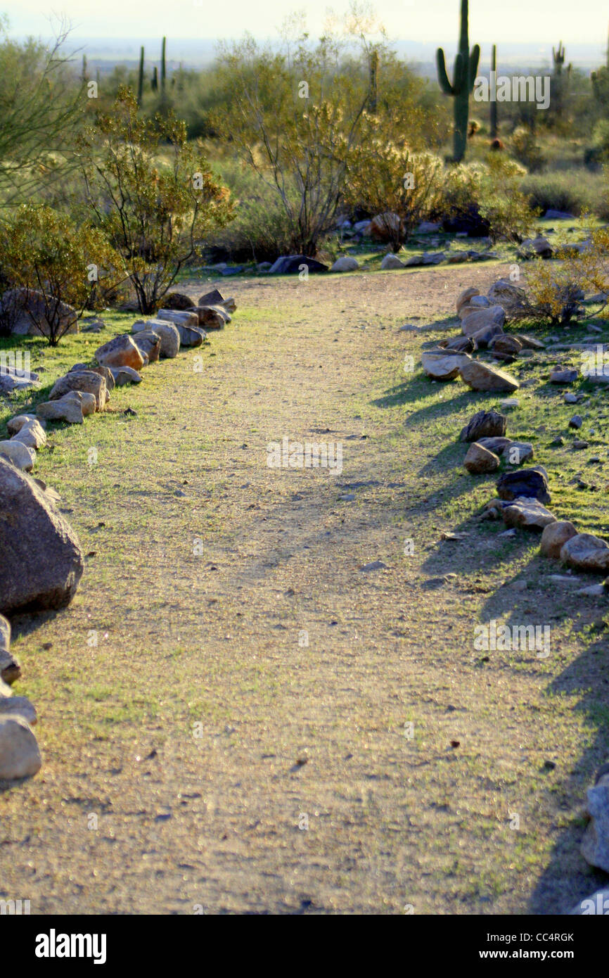 Desert path hi-res stock photography and images - Alamy