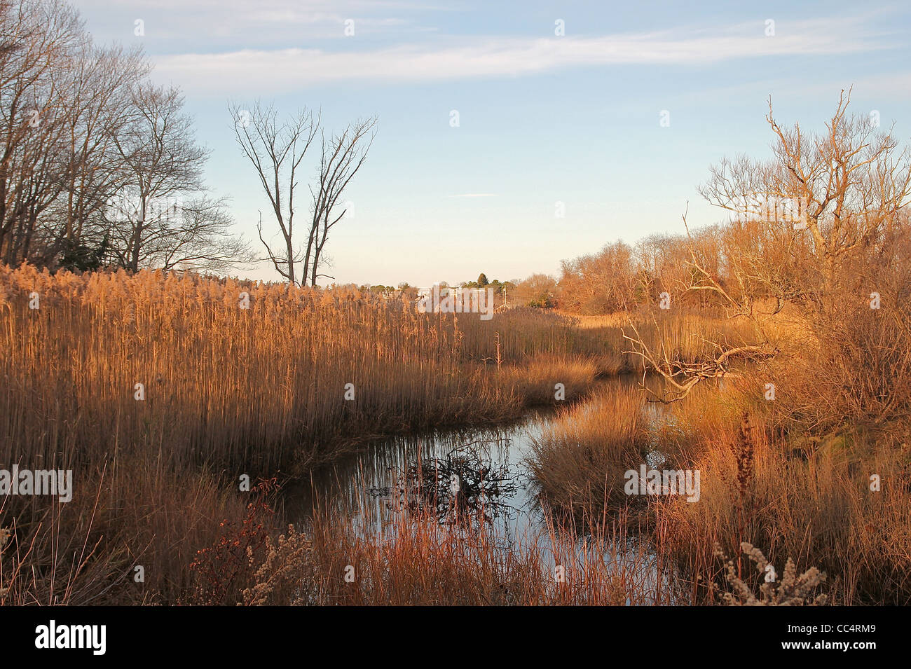 Landscape scenic wetlands marsh hi-res stock photography and images - Alamy