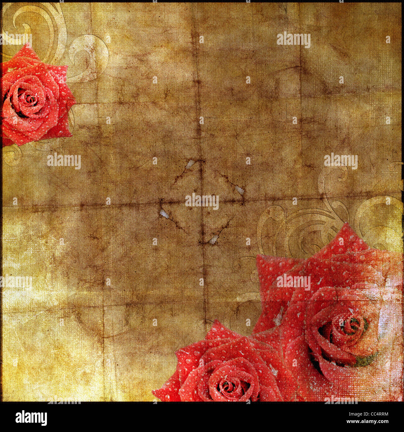 Beautiful Vintage Paper Background with roses silhouette Stock Photo ...