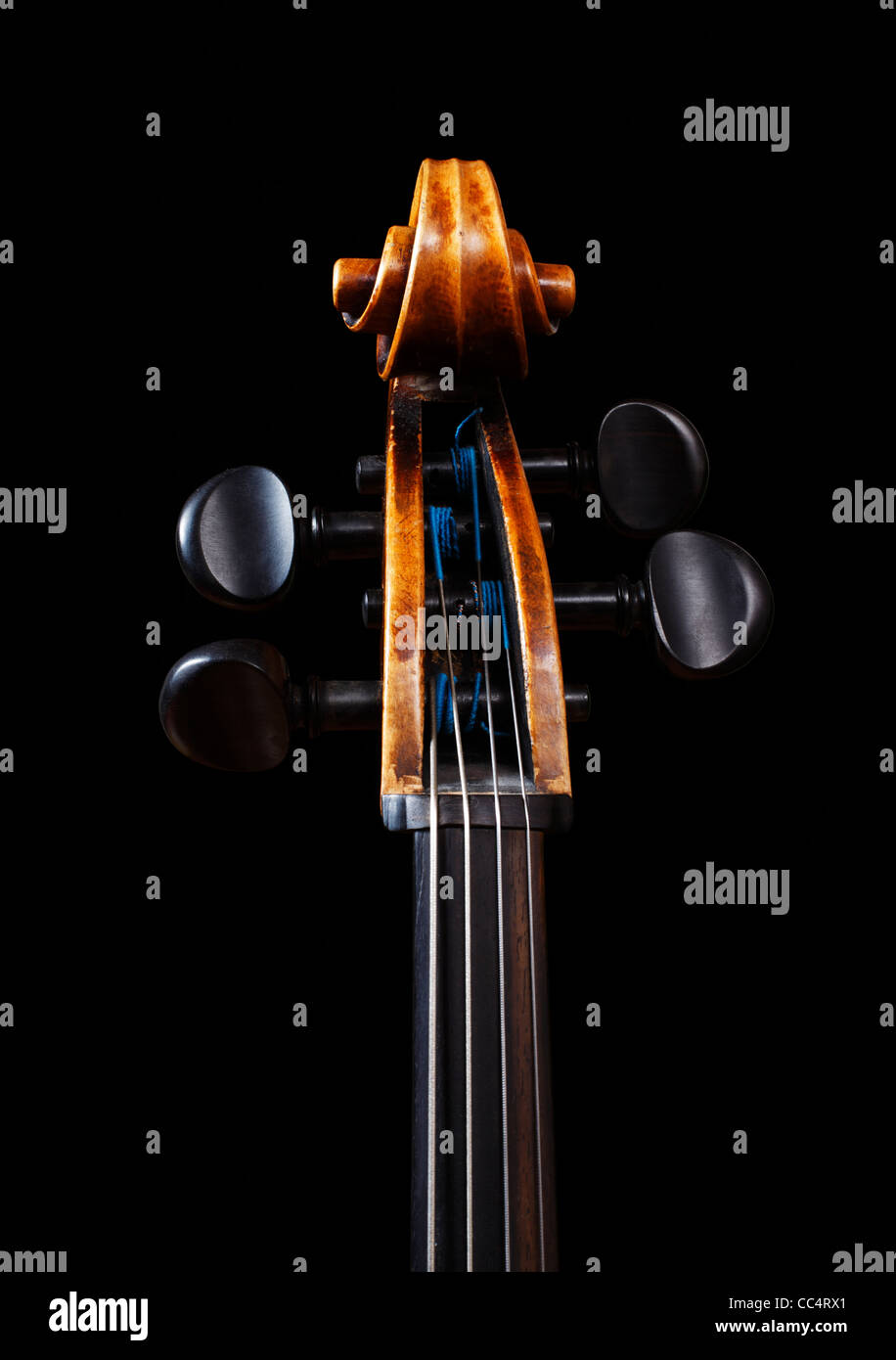 Cello head hi-res stock photography and images - Alamy