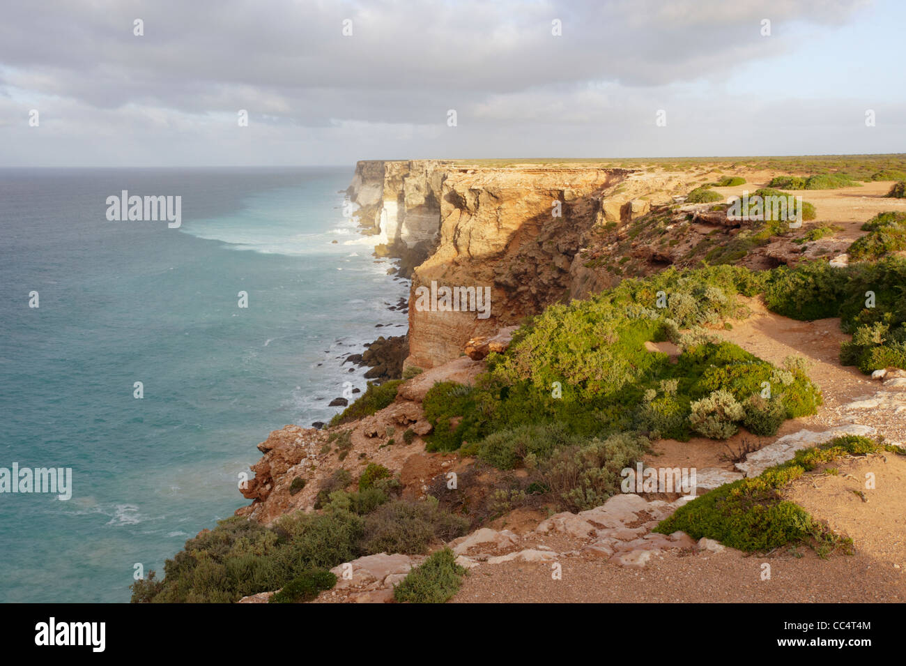 Elevated view of Bunda Cliffs, Great Australian Bight Marine Park ...