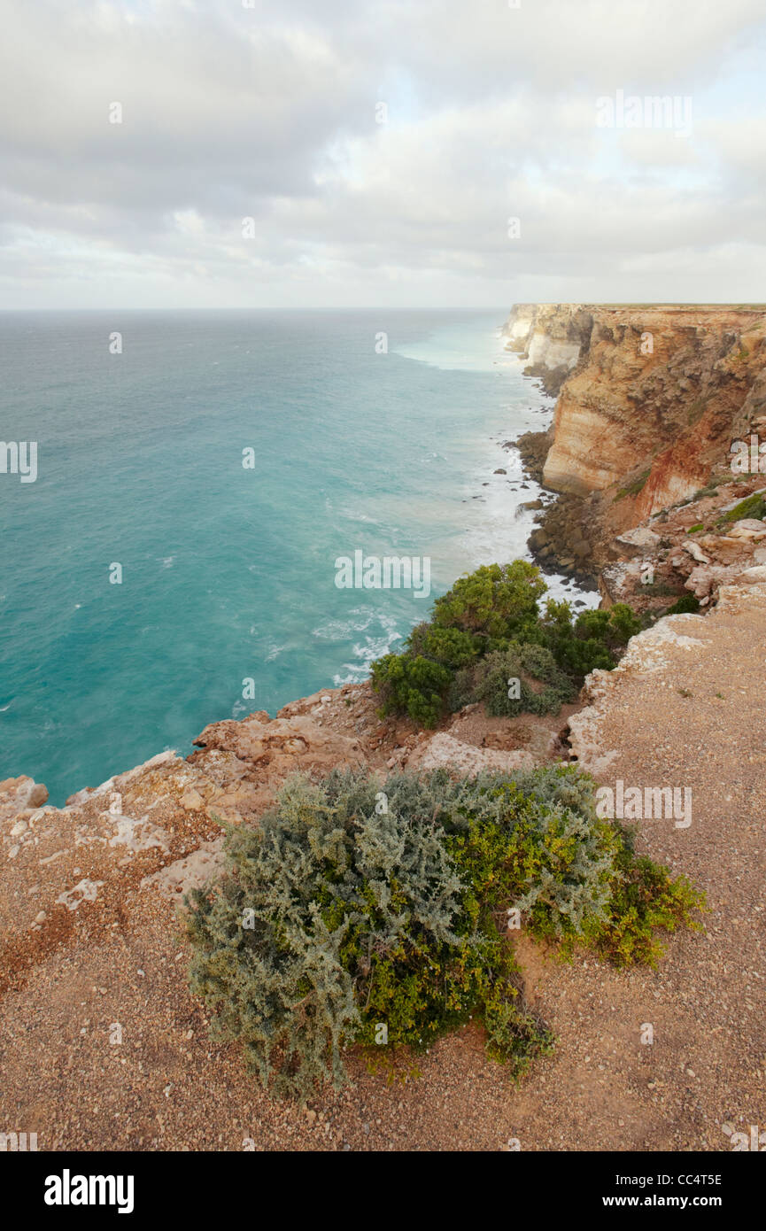 Great australian bight marine park hi-res stock photography and images ...