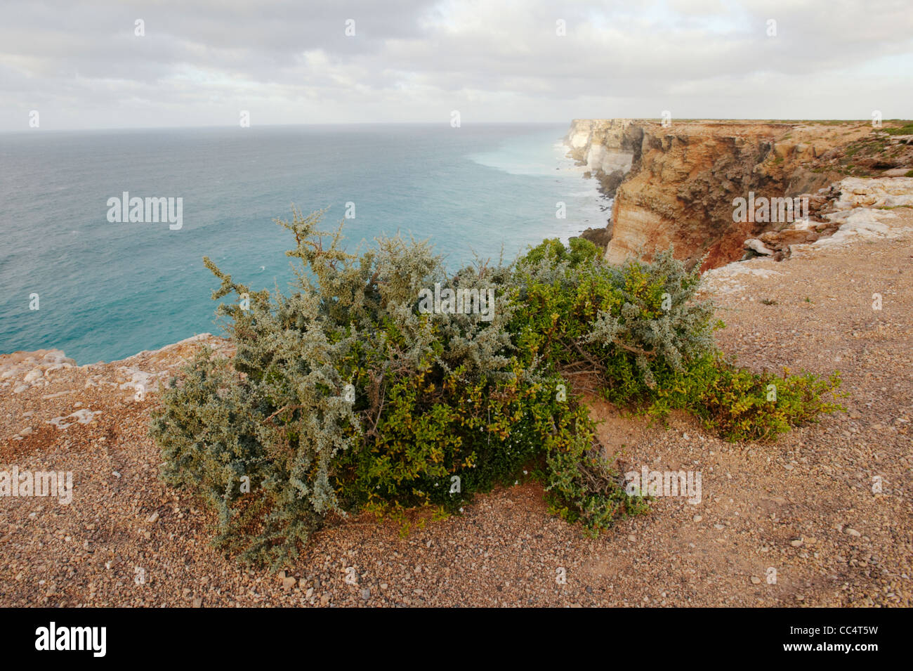 Elevated view of Bunda Cliffs, Great Australian Bight Marine Park ...