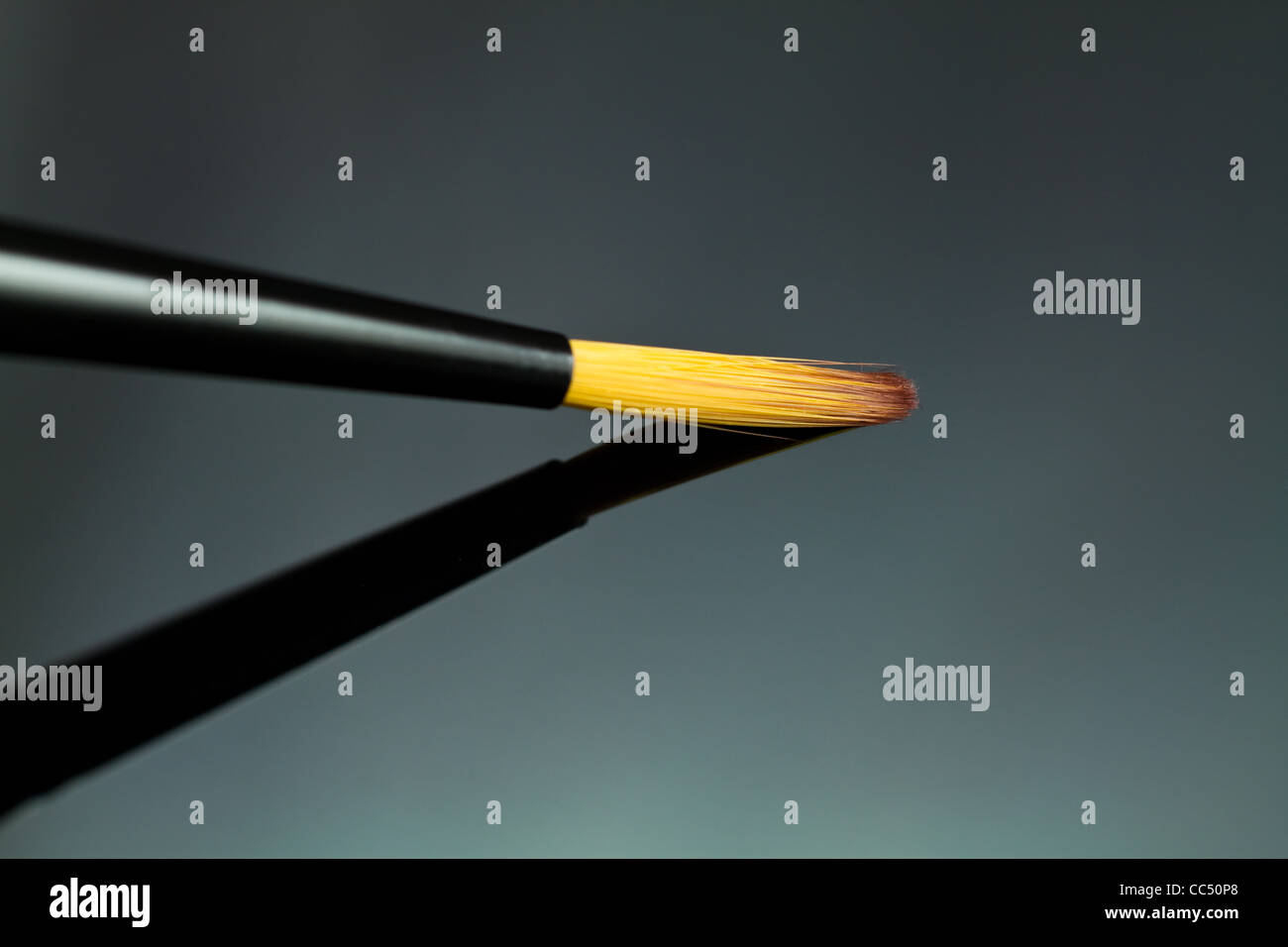 Close up of an artists paint brush Stock Photo - Alamy