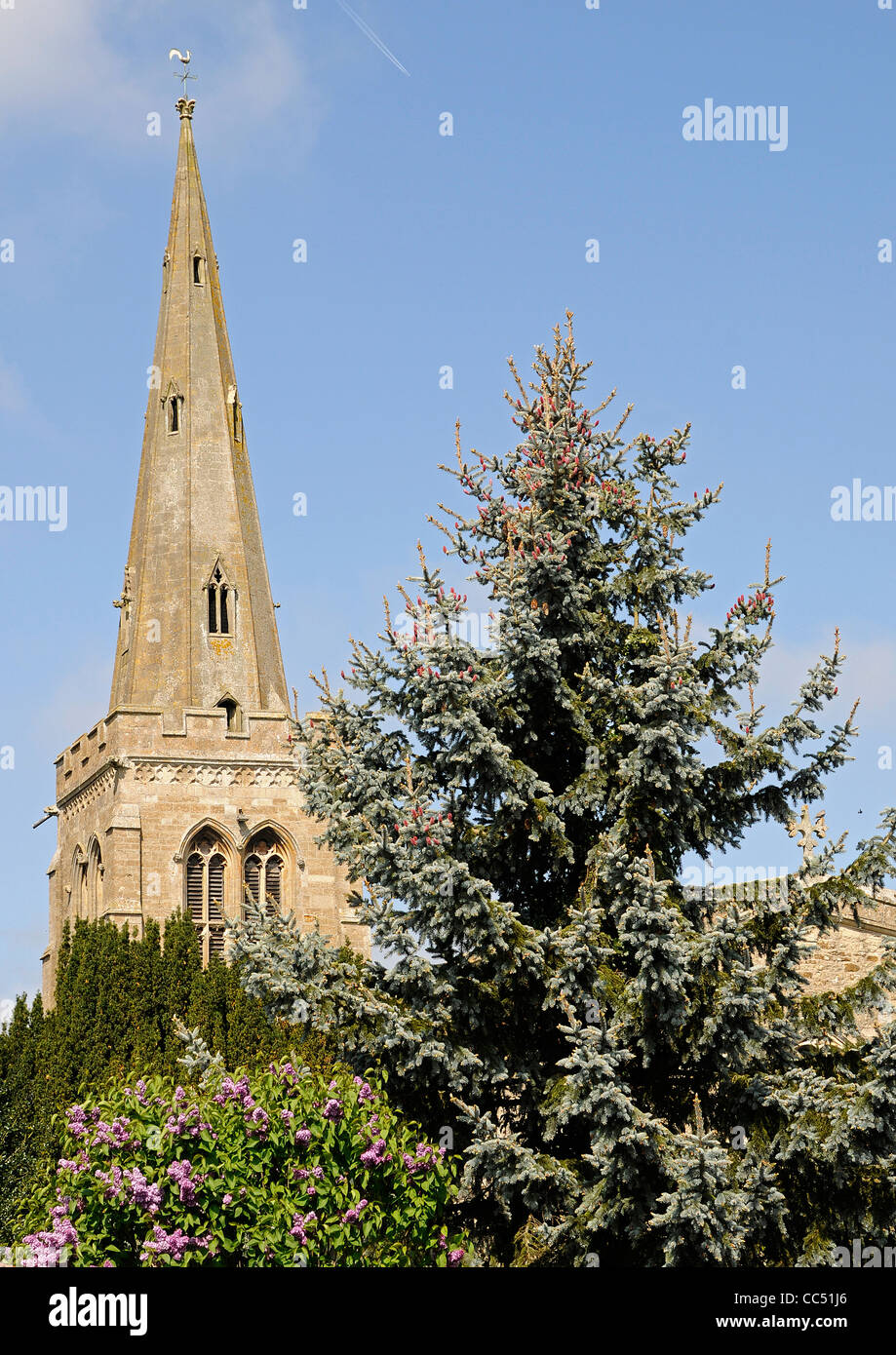 Geddington Church High Resolution Stock Photography and Images - Alamy