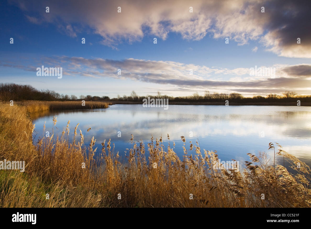 Morning side pond hi-res stock photography and images - Alamy