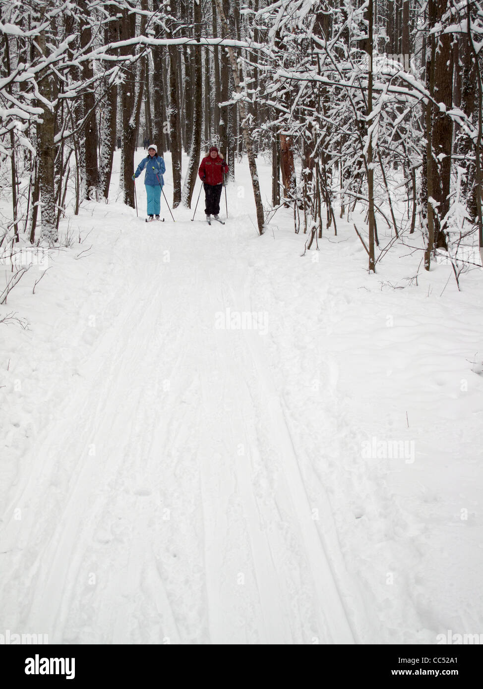 Bitsevski Park (Bitsa Park) in winter after a heavy snowfall. Moscow ...