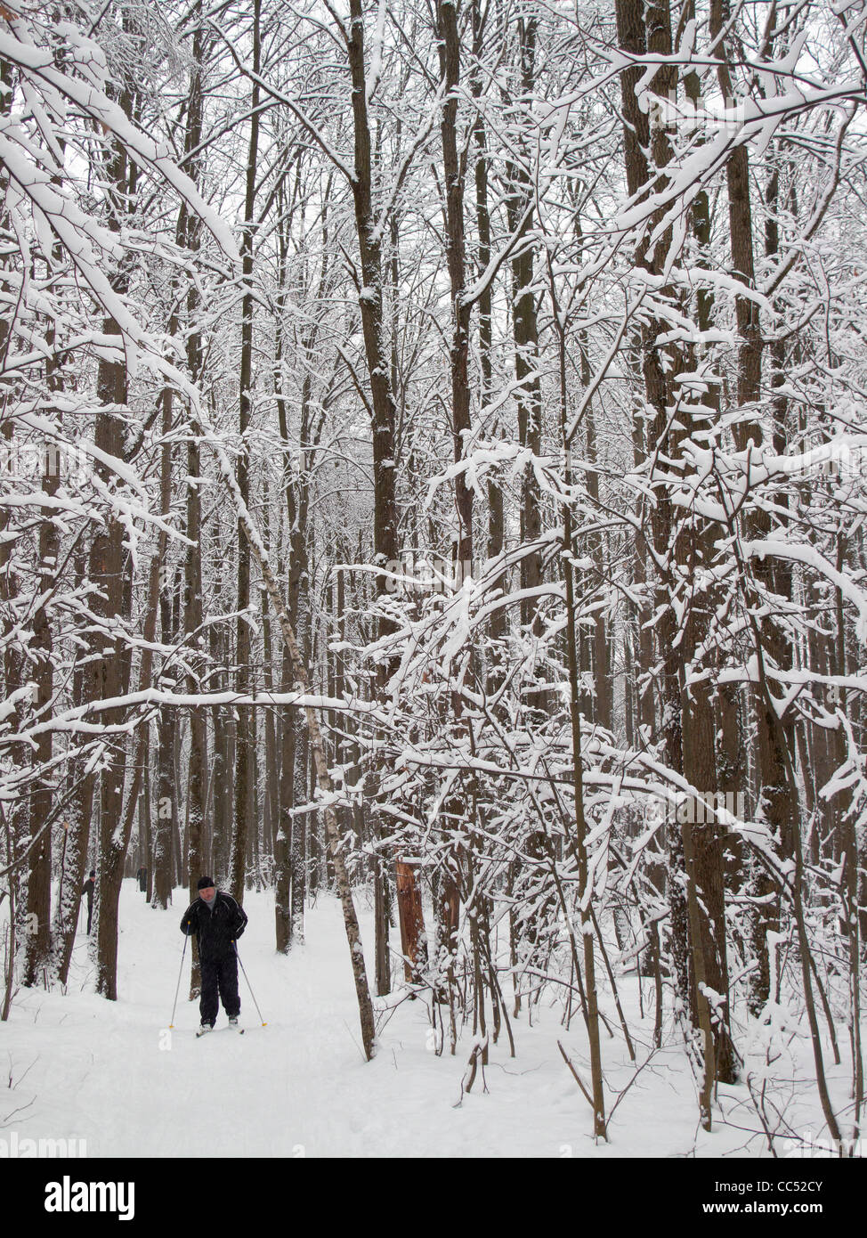 Bitsevski Park (Bitsa Park) in winter after a heavy snowfall. Moscow ...