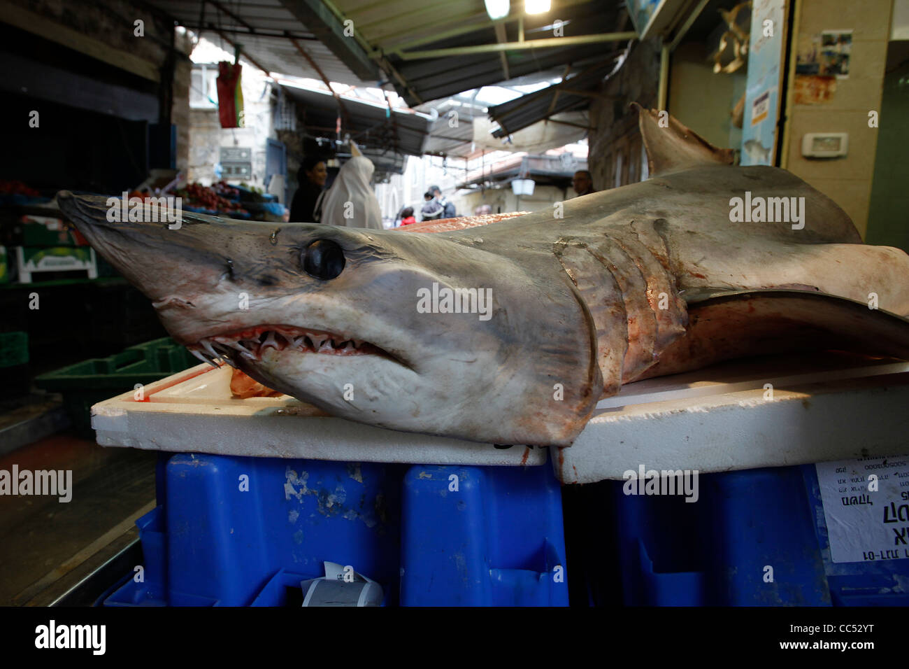 Ako shark hi-res stock photography and images - Alamy