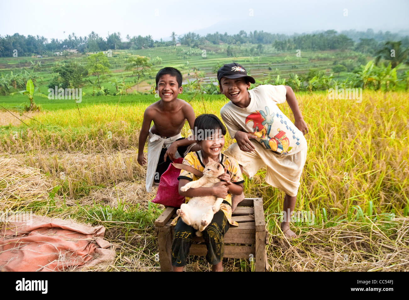 Children playing at the rice field hi-res stock photography and images ...
