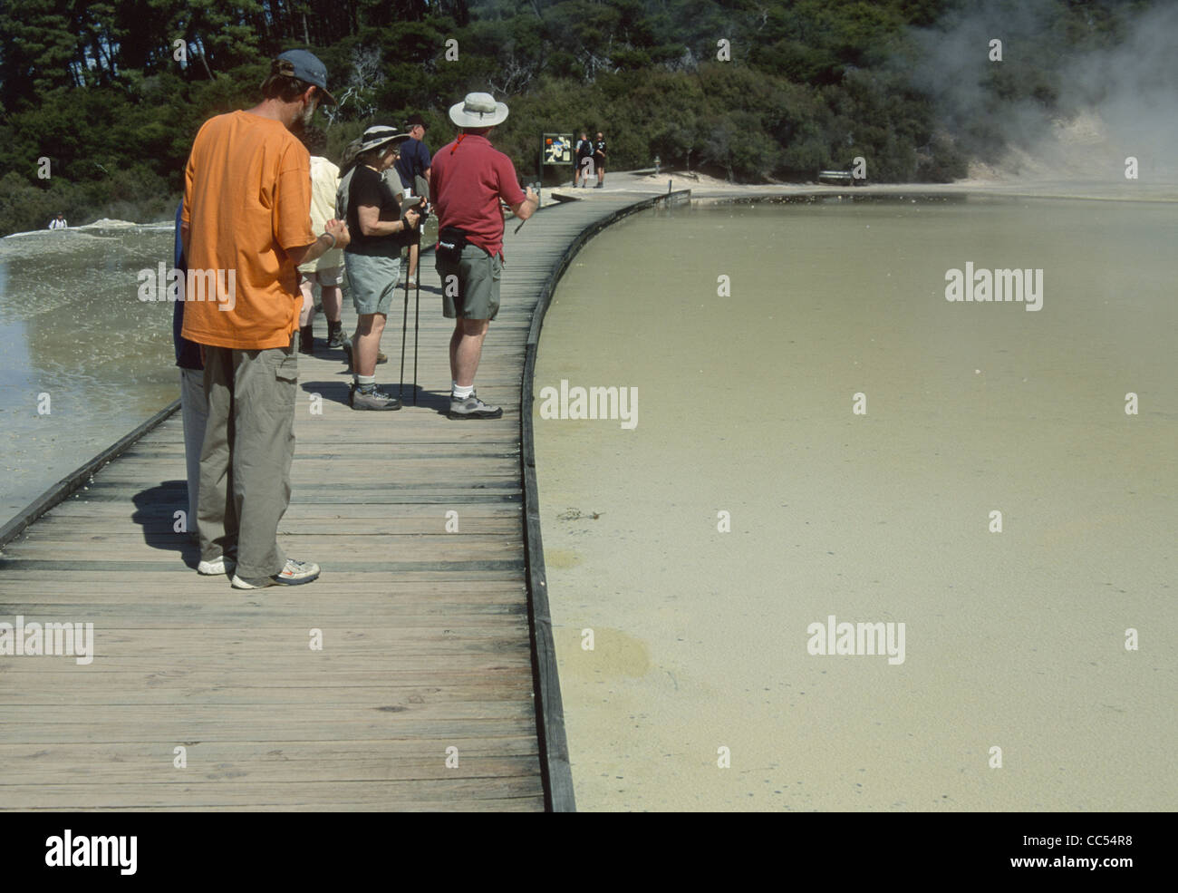 New Zealand Rotorua Wai-O-Tapu thermal wonderland Artists Palette Stock ...