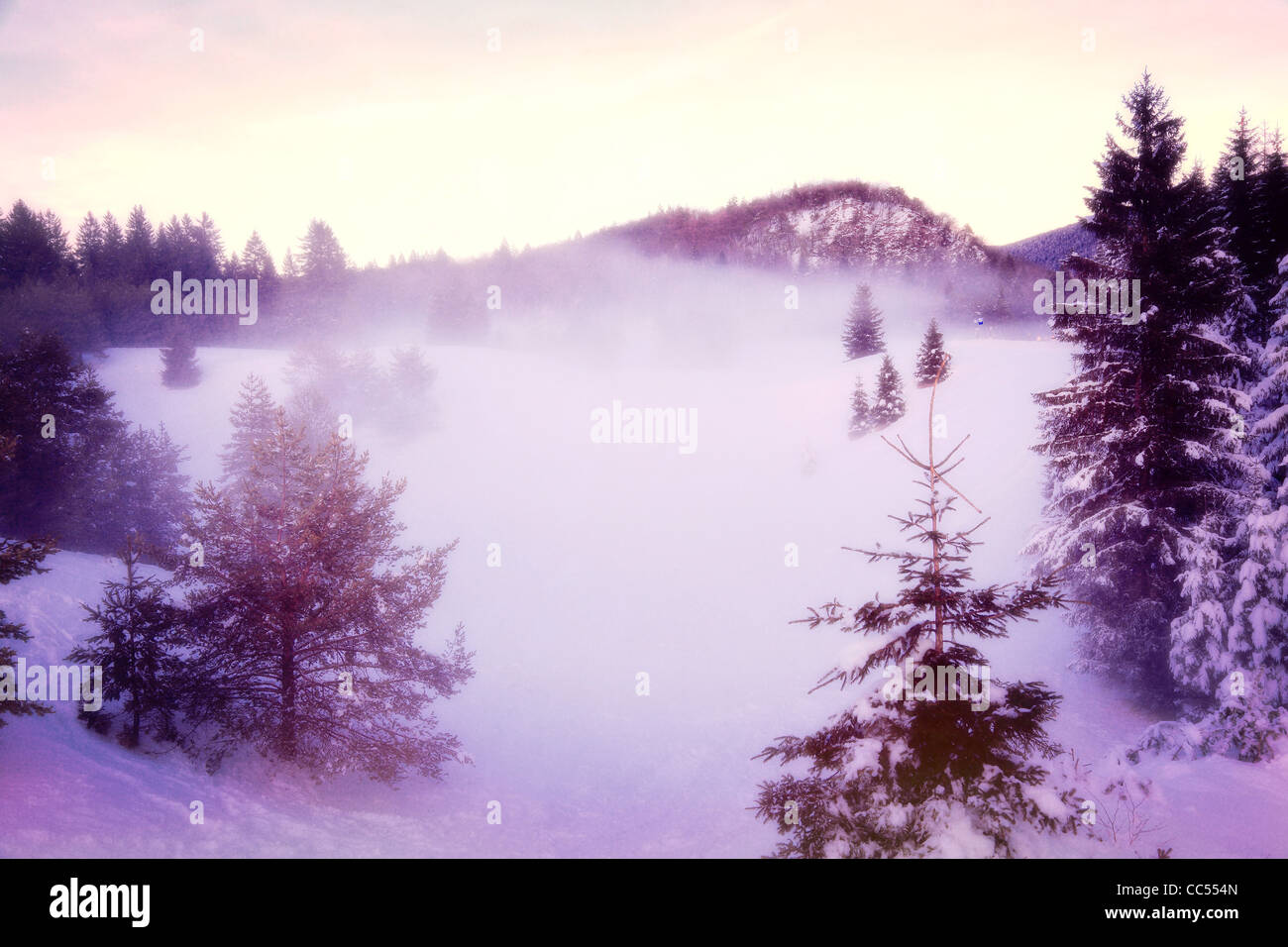 Foggy snow landscape hi-res stock photography and images - Alamy