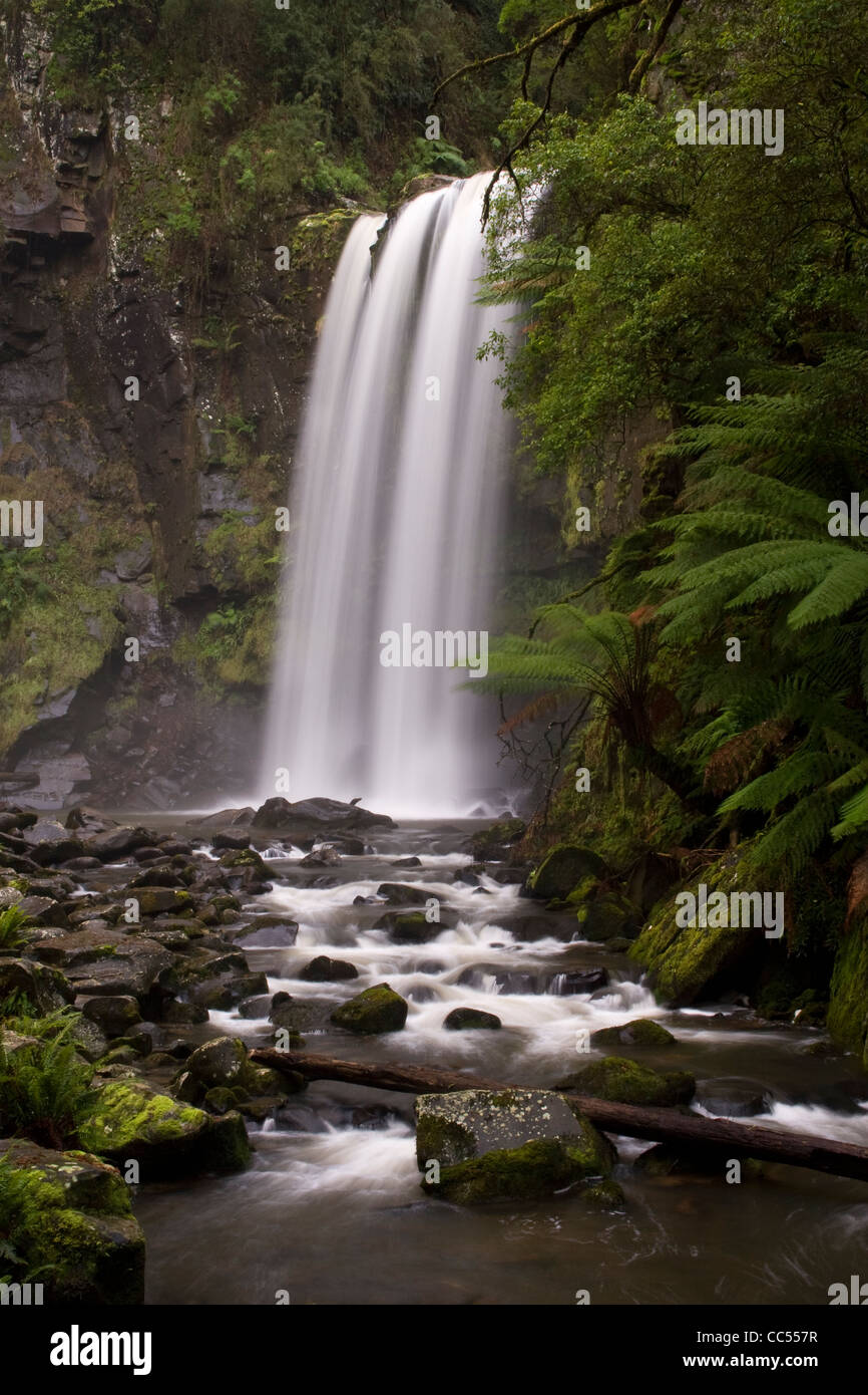 Hopetoun Falls in Otway National Park along the Great Ocean Road in ...