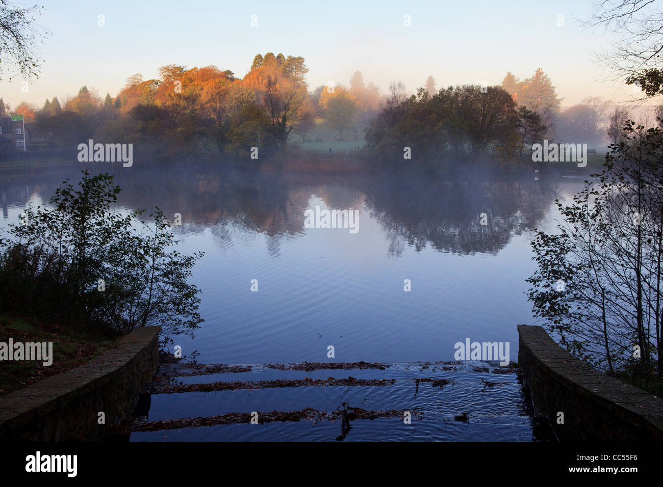 Gnoll country park hi-res stock photography and images - Alamy