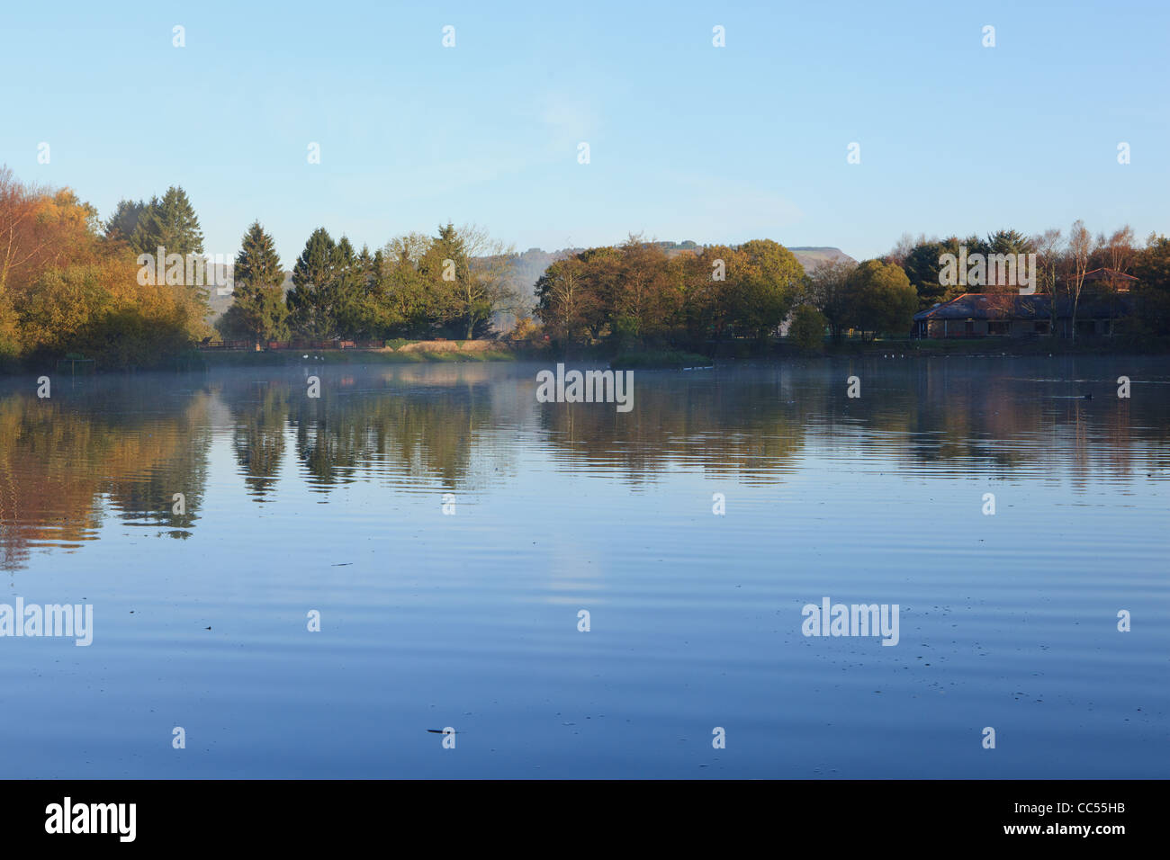 Gnoll country park hi-res stock photography and images - Alamy