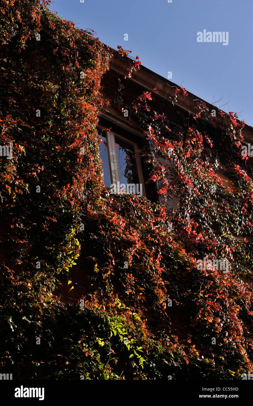 italy, rome, via margutta Stock Photo - Alamy