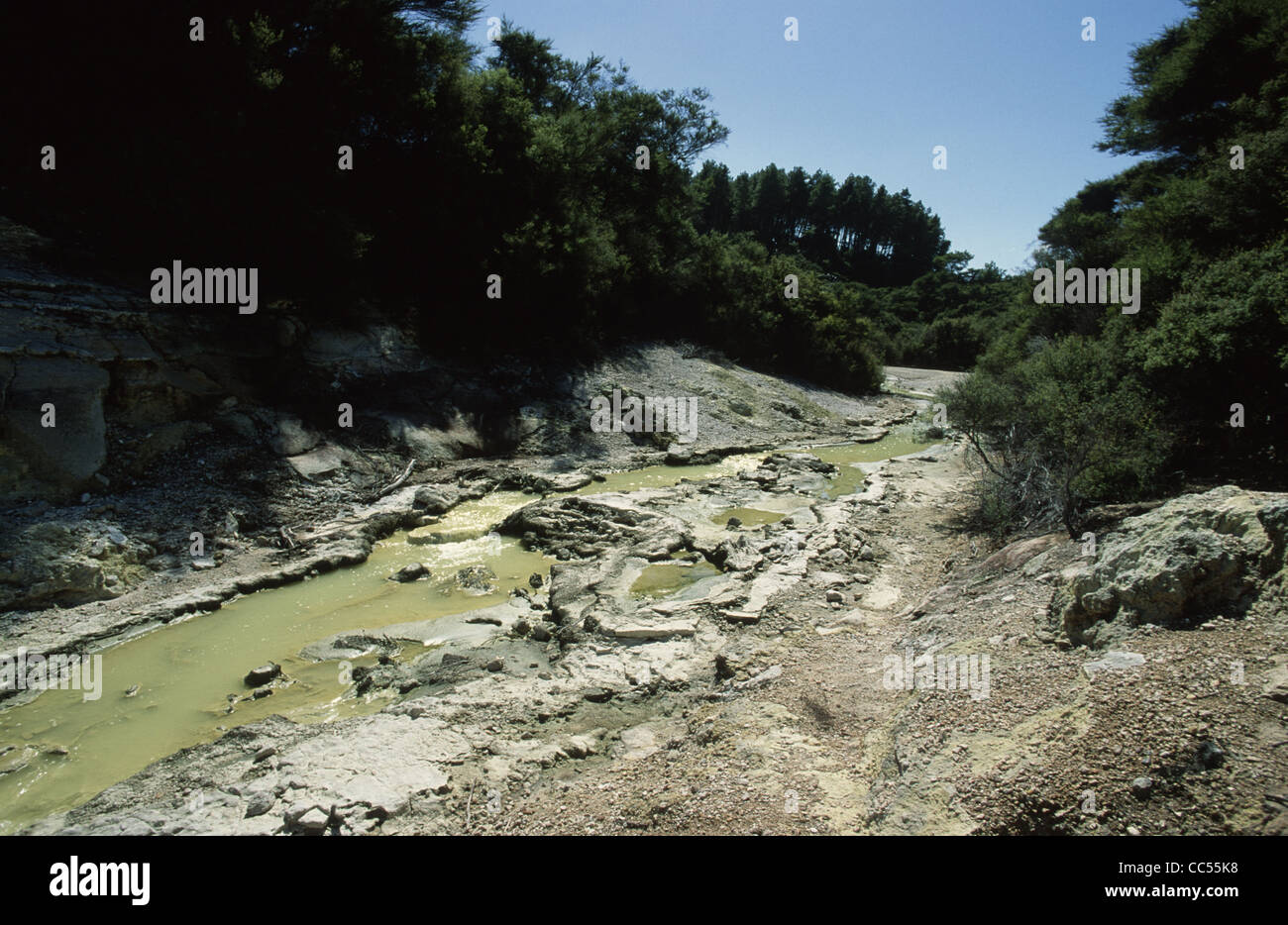New Zealand Rotorua Wai-O-Tapu thermal wonderland Lake Ngakoro ...