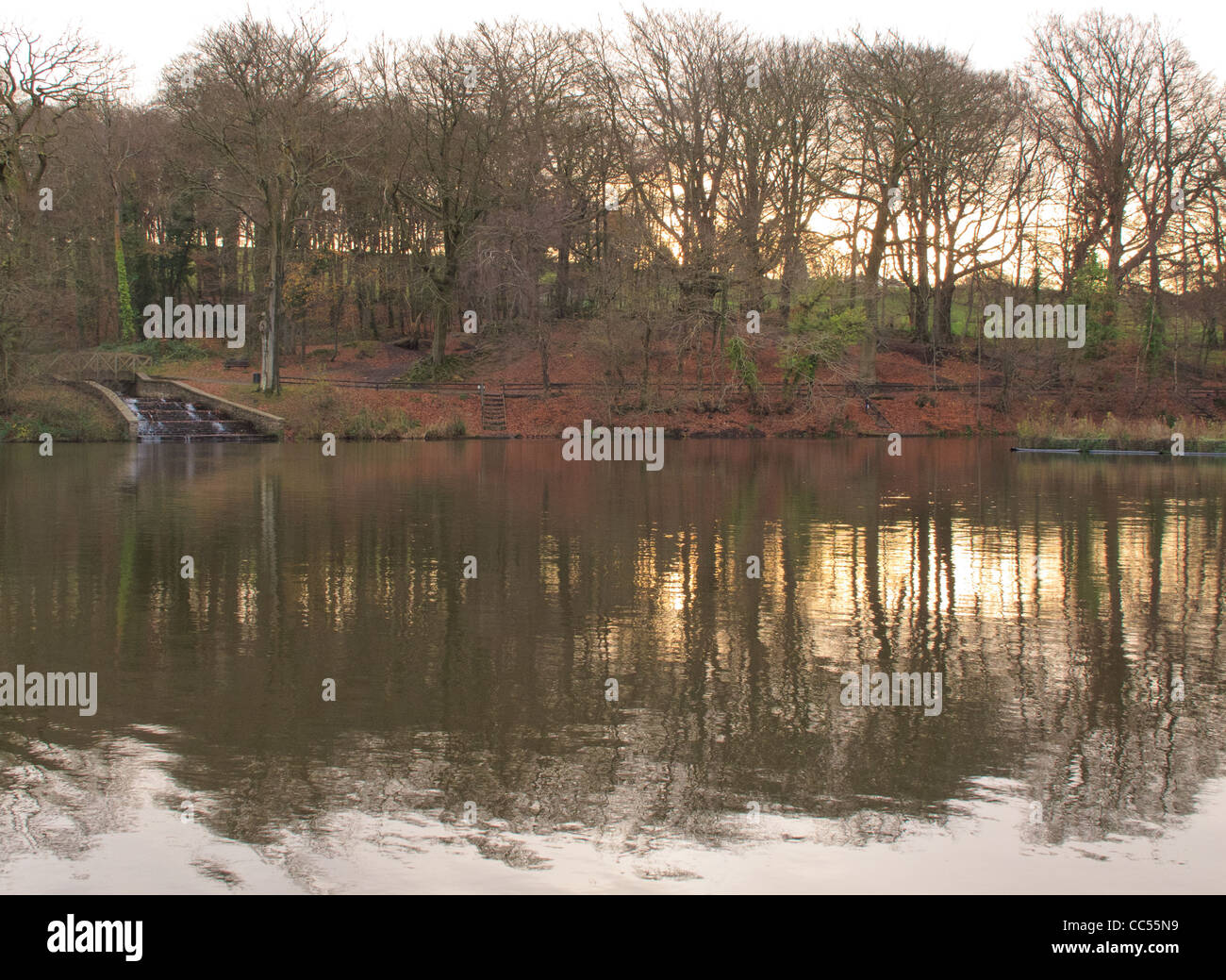 Gnoll Country Park, Neath, Neath Port Talbot, South Wales Stock Photo ...