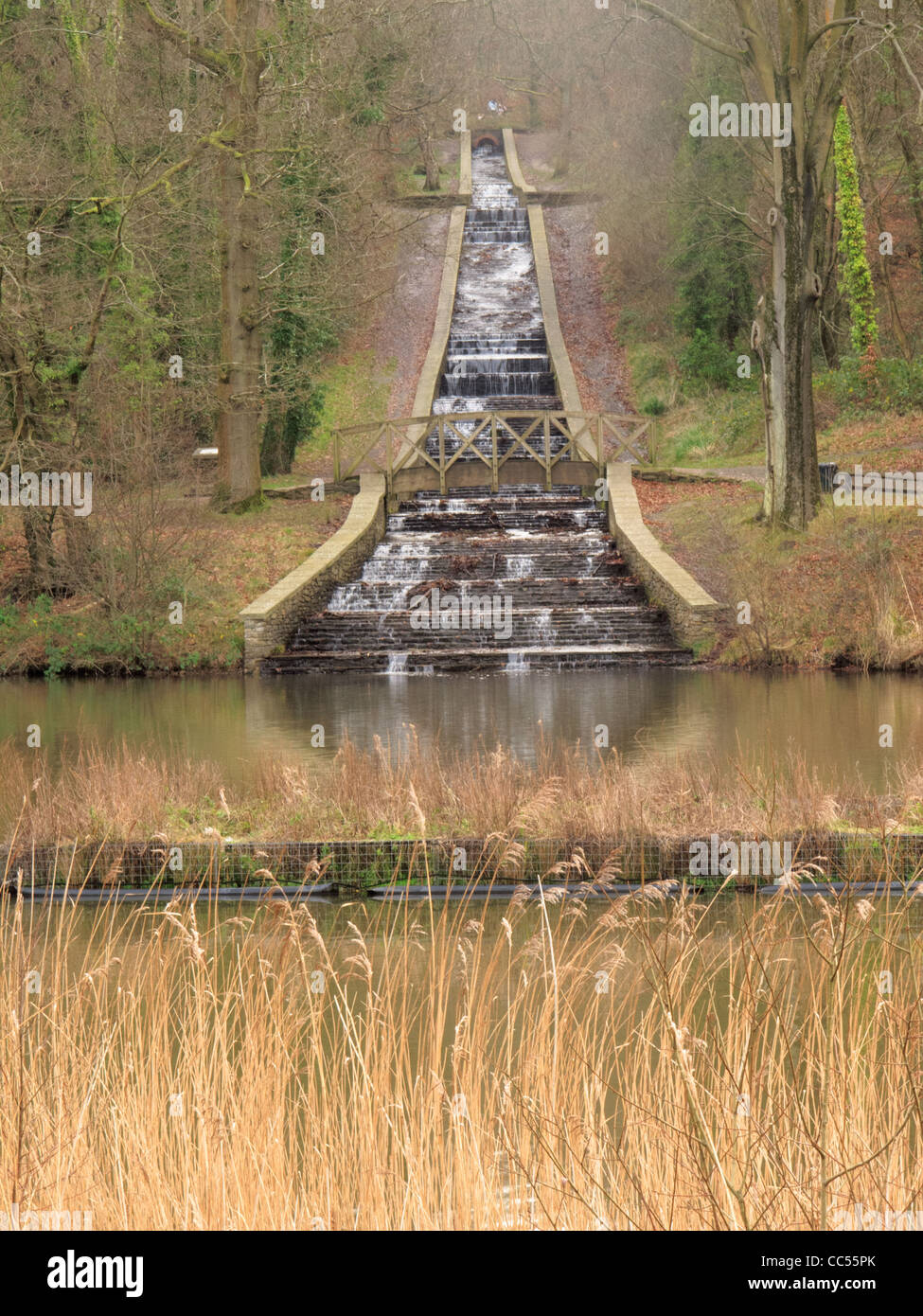 Gnoll park hi-res stock photography and images - Alamy