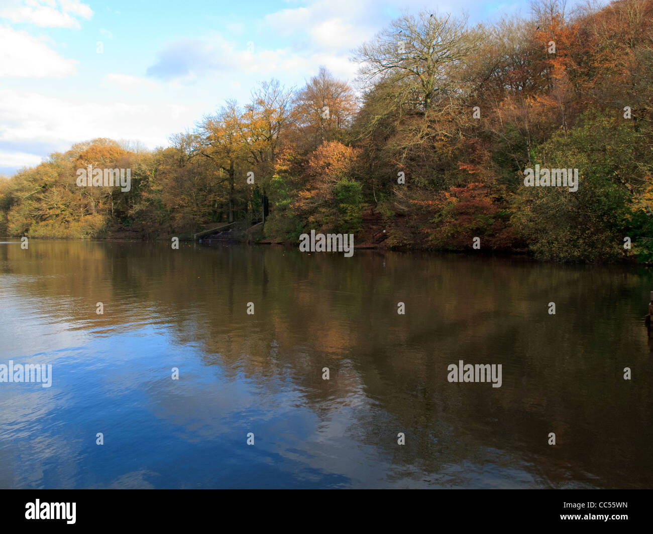 Gnoll country park hi-res stock photography and images - Alamy