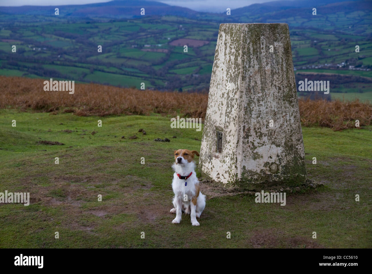 Trig point trigonometric hi-res stock photography and images - Alamy