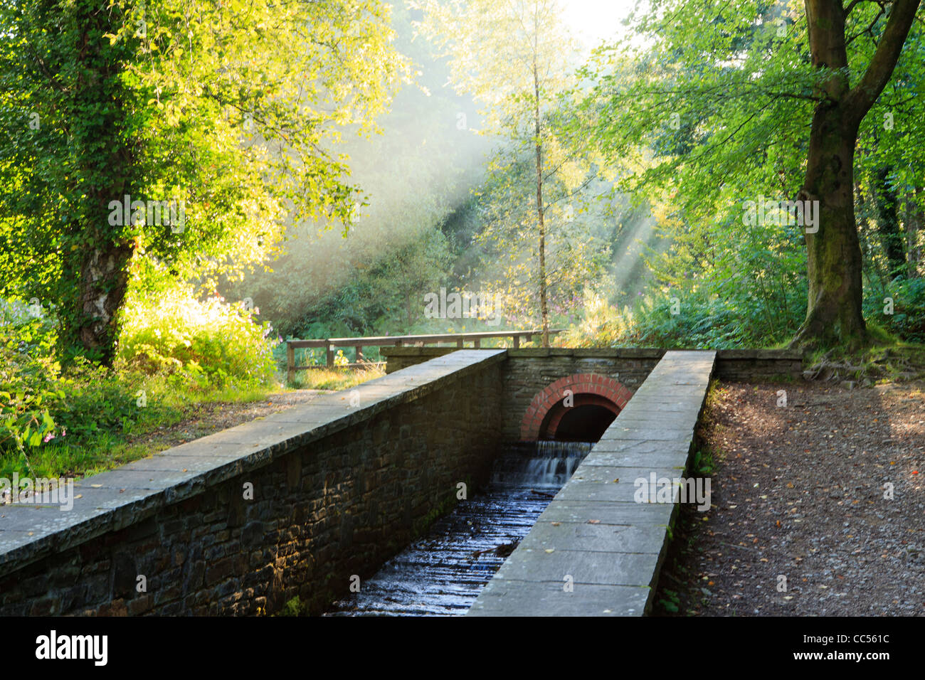 Gnoll Country Park, Neath, Neath Port Talbot, South Wales Stock Photo ...