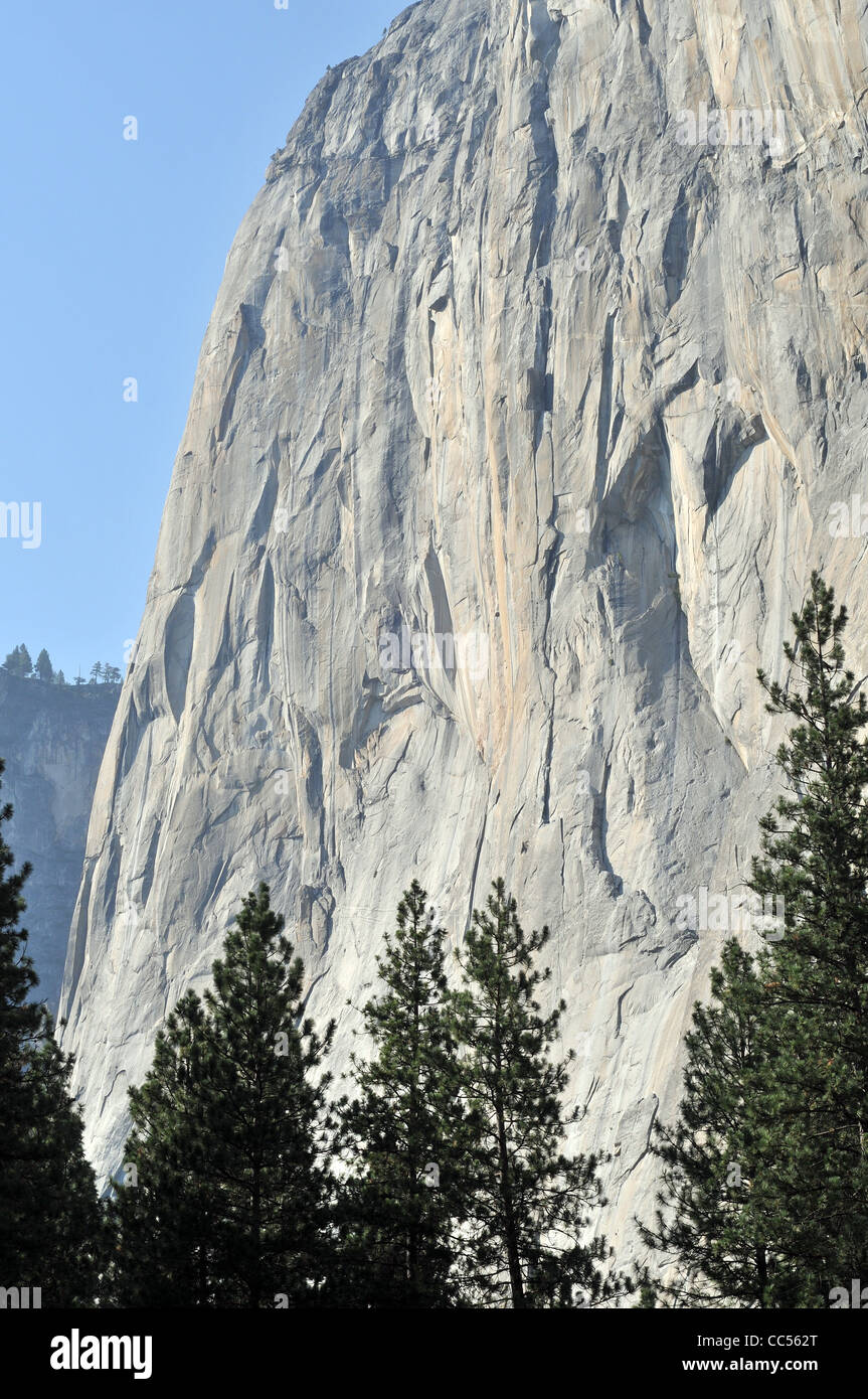 The face of El Capitan in the afternoon sun. Yosemite Valley ...