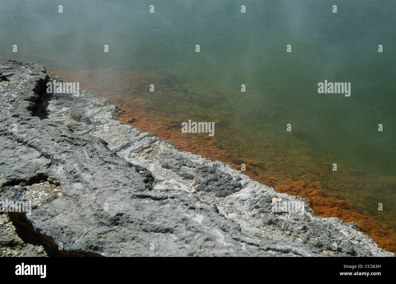 New Zealand Rotorua Wai-O-Tapu thermal wonderland Champagne Pool Stock ...