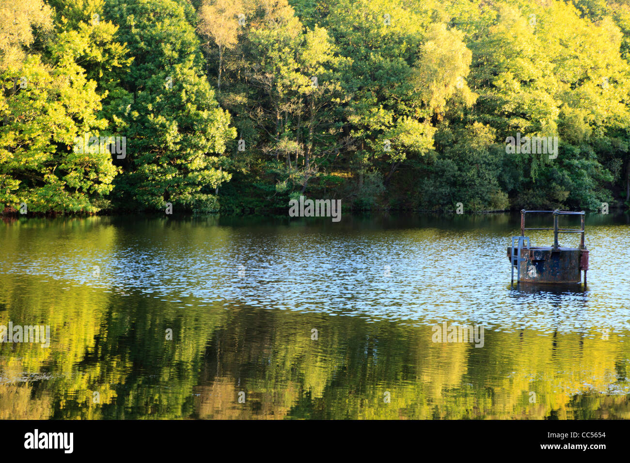 Gnoll country park hi-res stock photography and images - Alamy