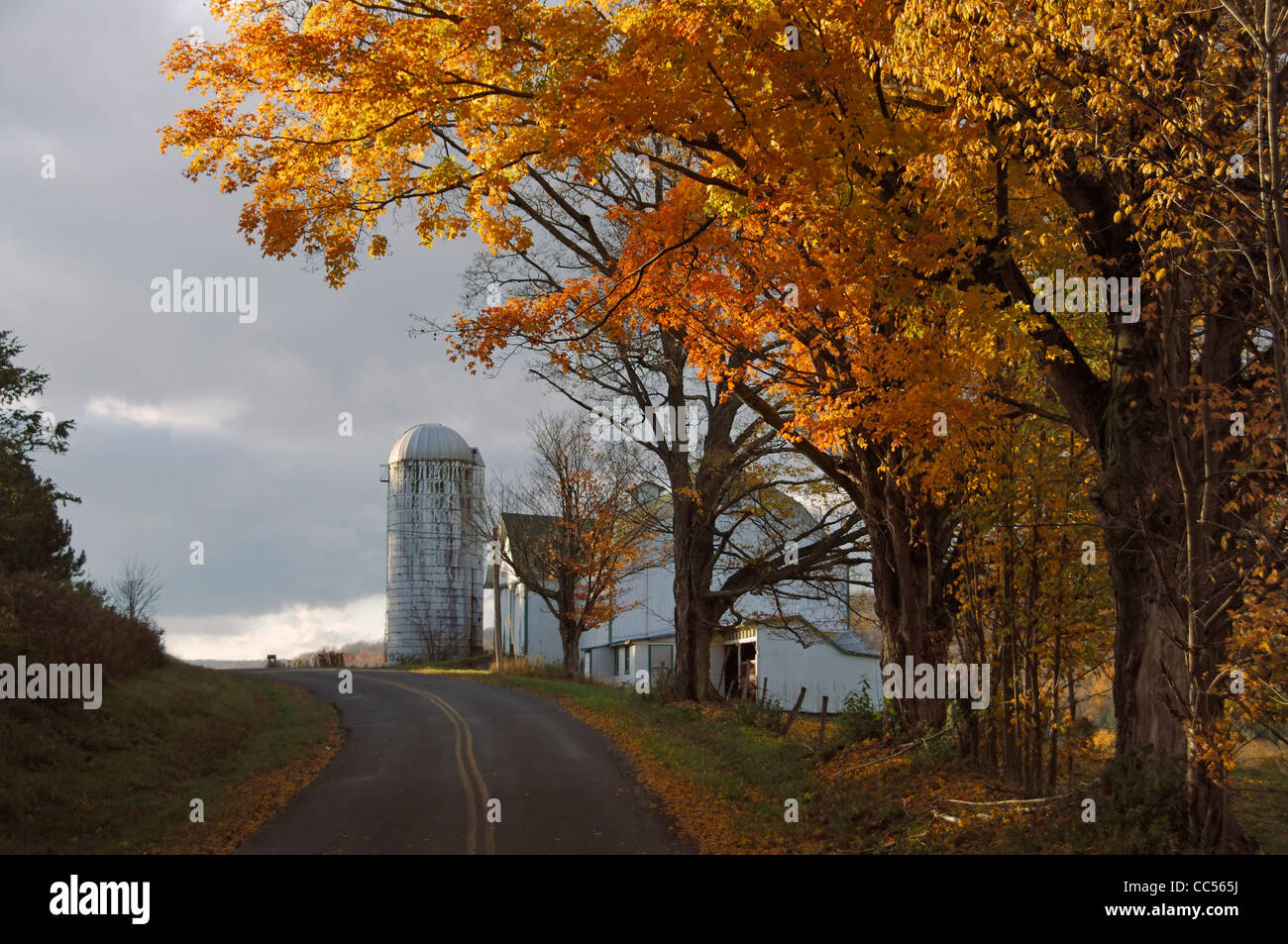 Silo and barn hi-res stock photography and images - Alamy