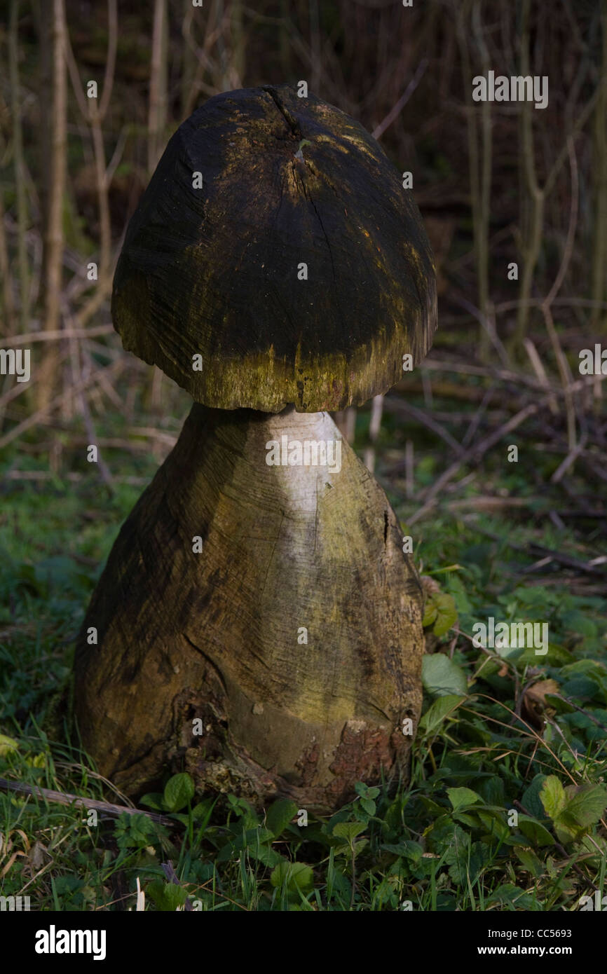 A wooden mushroom sculpture that stands outside the remains of ...