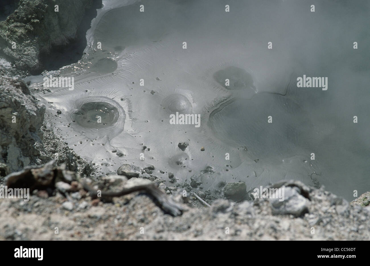 New Zealand Rotorua Wai-O-Tapu thermal wonderland Mud Pool Stock Photo ...