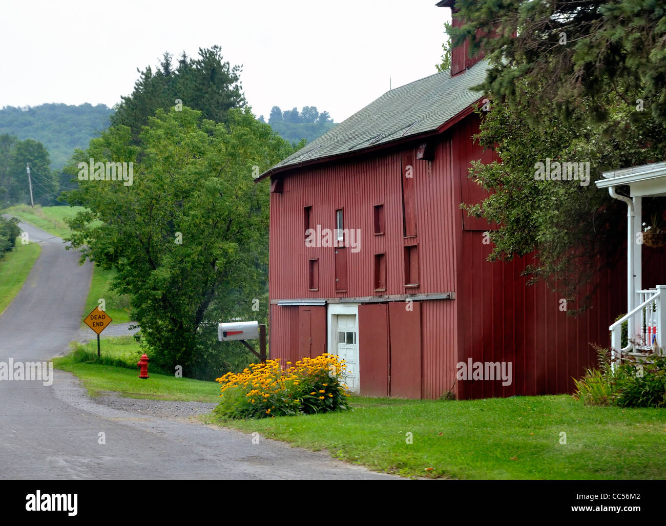 A red barn on a dead-end country road with yellow flowers Stock Photo ...