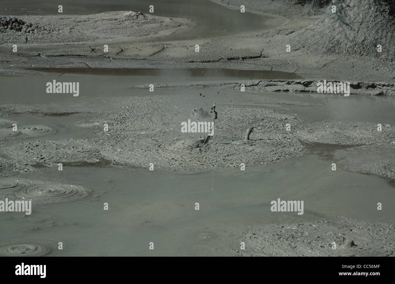New Zealand Rotorua Wai-O-Tapu Boiling mud pool Stock Photo - Alamy