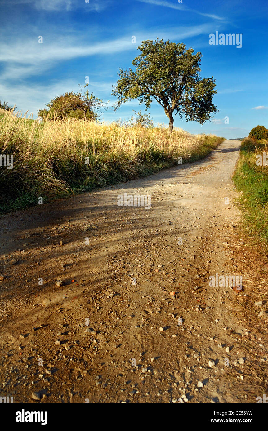 summer landscape - dirt road Stock Photo - Alamy