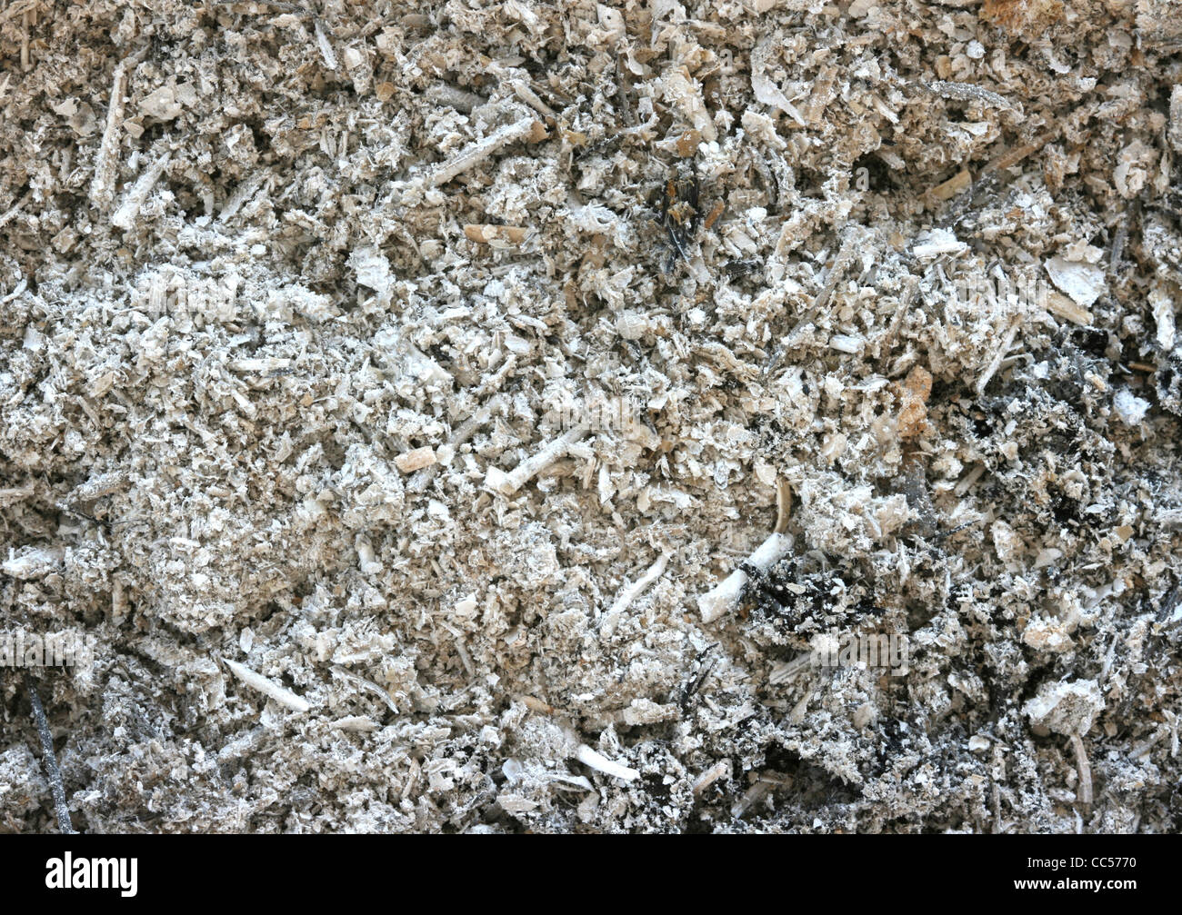 Ash texture close up view Stock Photo - Alamy