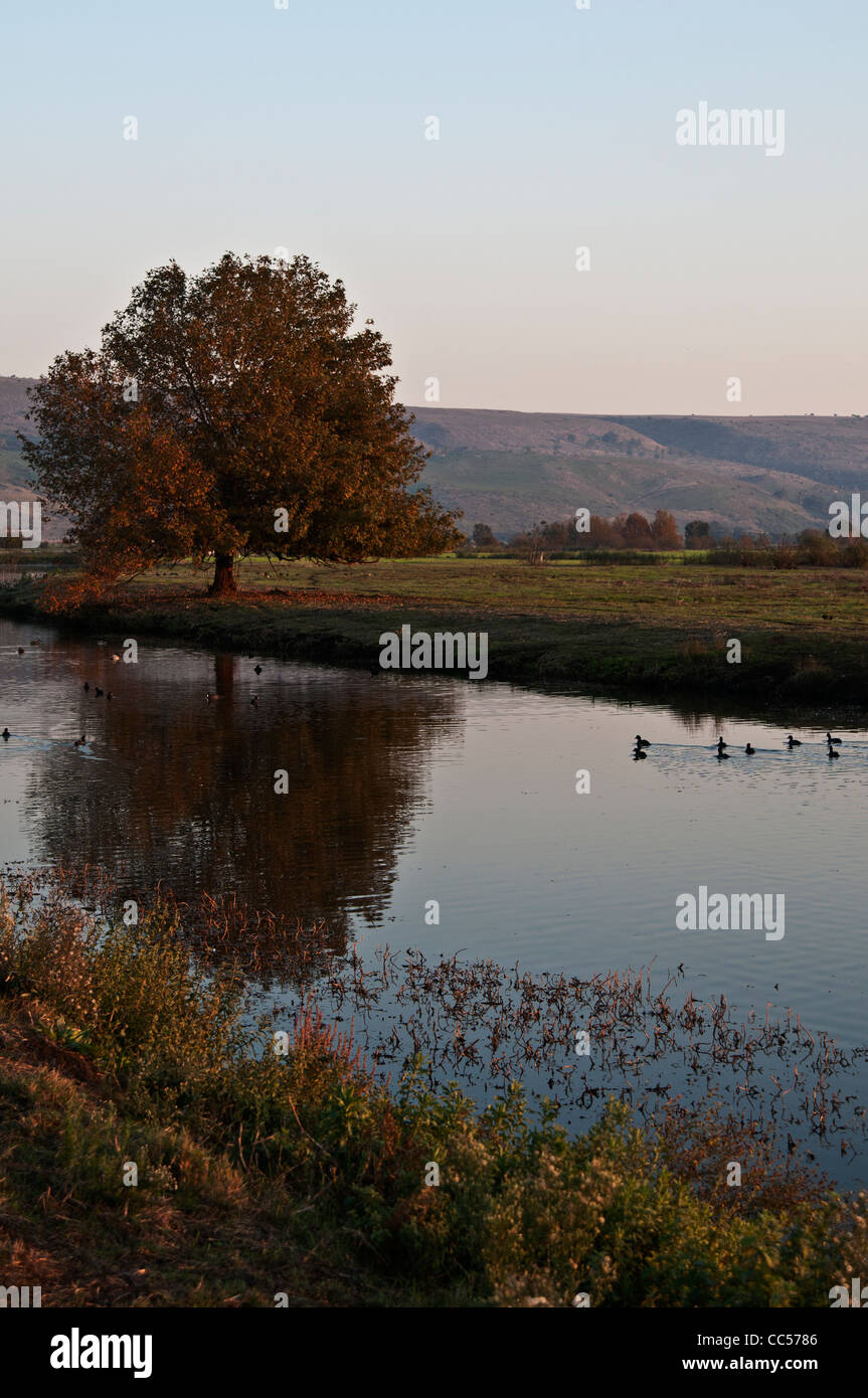 Hula Valley,Syrian- African Rift valley Stock Photo - Alamy