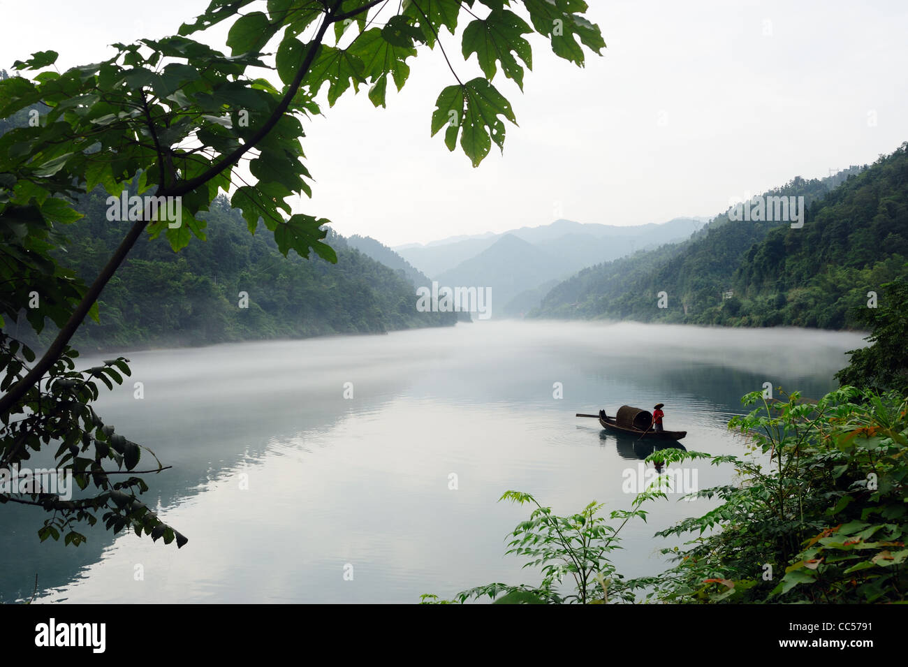 Hunan province plant hi-res stock photography and images - Alamy