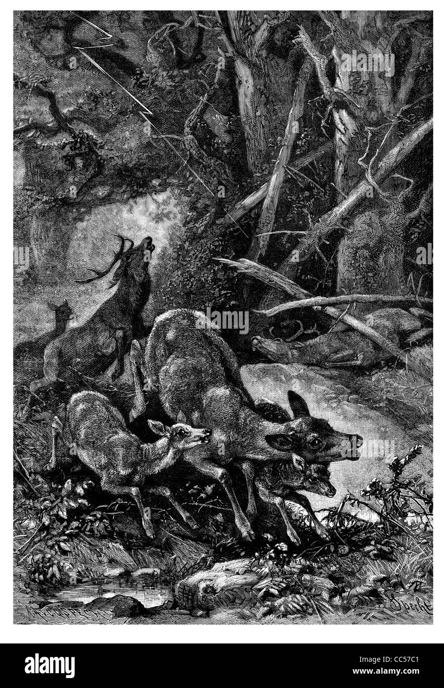 Book storm Black and White Stock Photos & Images - Alamy