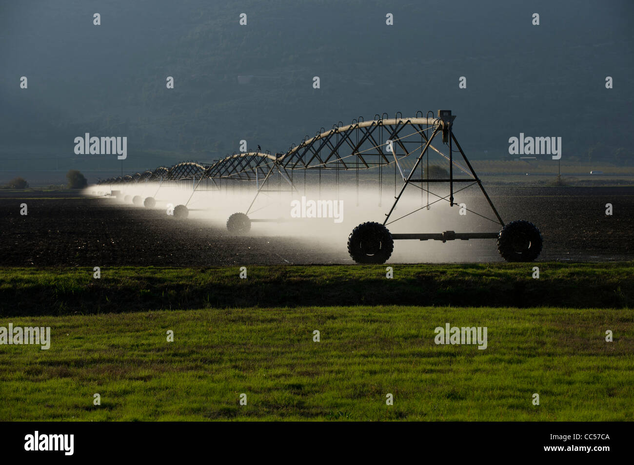 Hula Valley,Syrian- African Rift valley,Irrigation Stock Photo - Alamy
