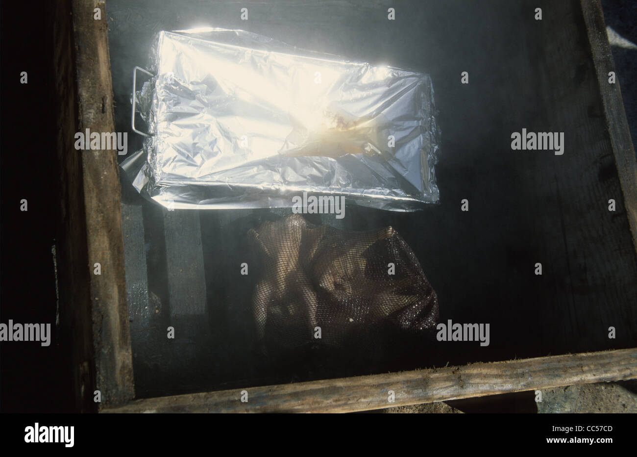 New Zealand Rotorua Whakarewarewa Maori Village Hangi cooking birds and ...