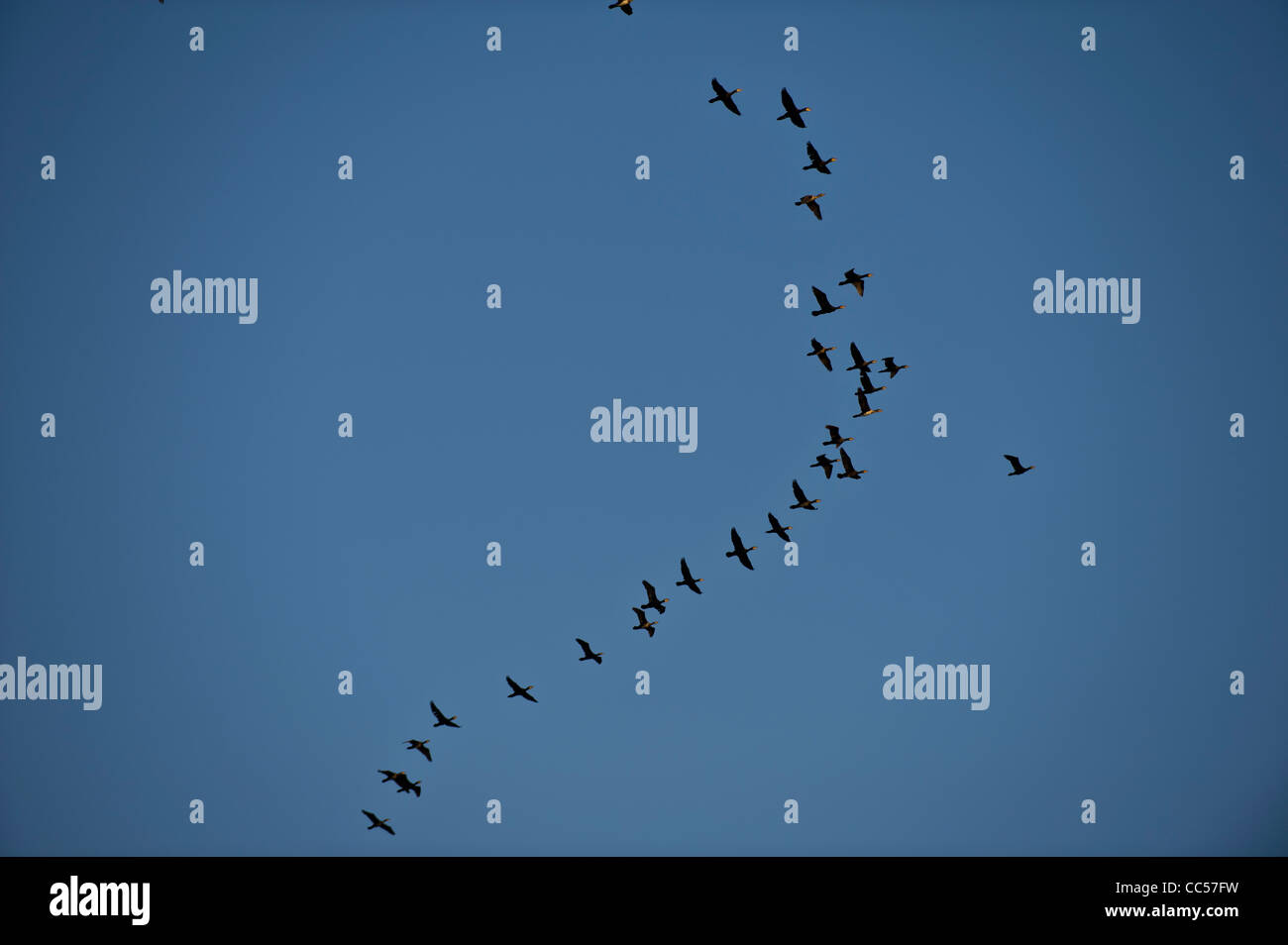 Hula Valley,Syrian- African Rift valley Stock Photo - Alamy