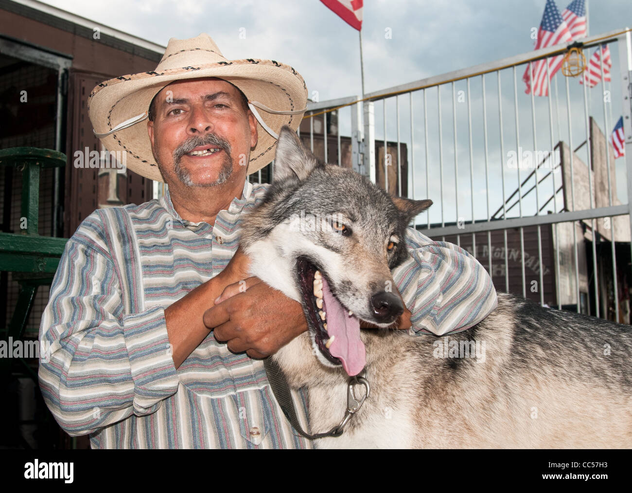 Timberwolf hi-res stock photography and images - Alamy