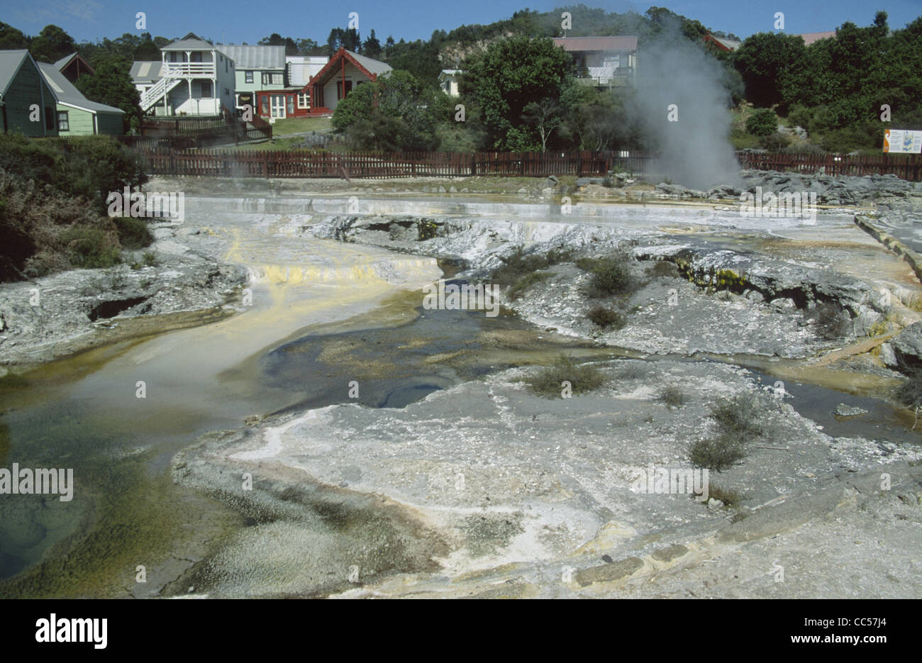 New Zealand Rotorua Whakarewarewa Maori Village Thermal pools Stock ...