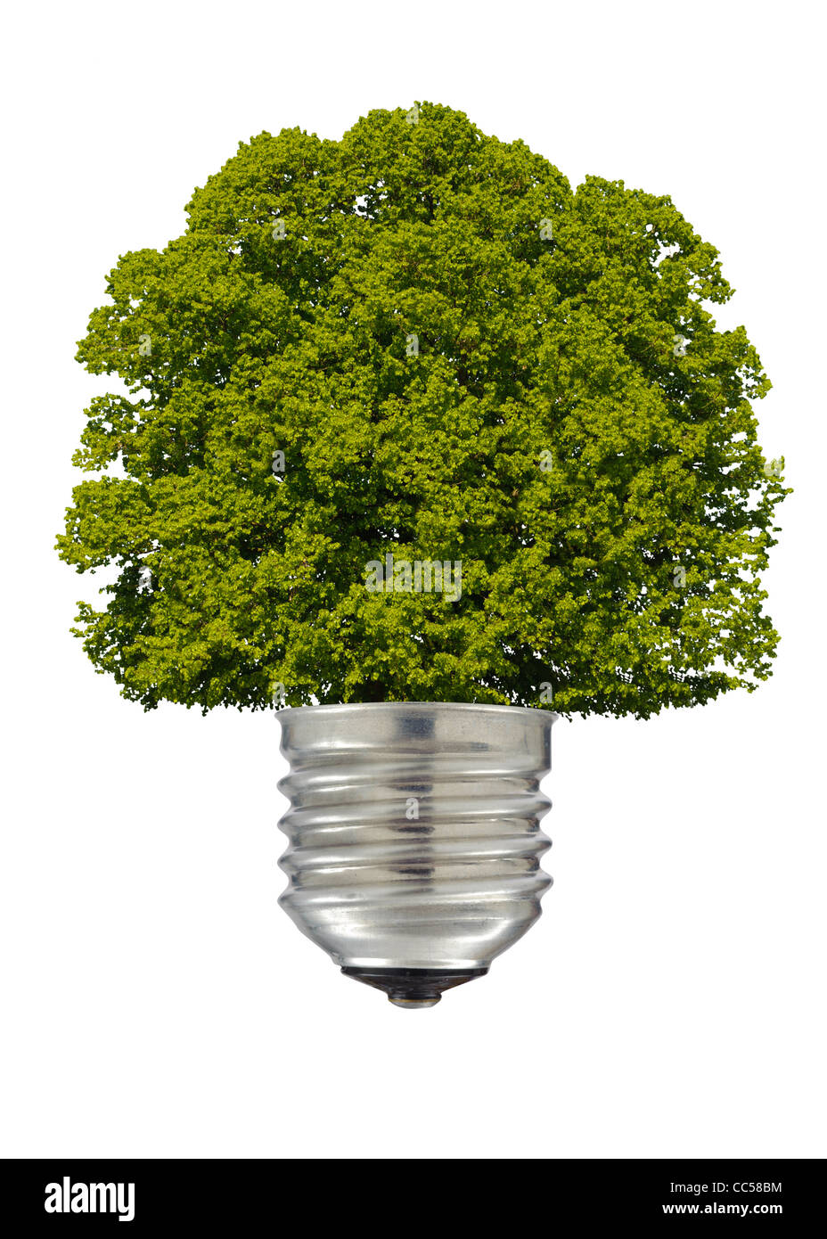electric lamp with green tree Stock Photo - Alamy