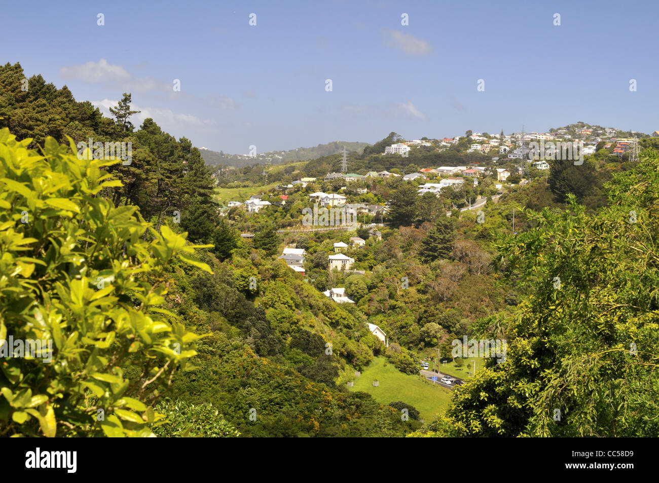 Wellington suburbs hi-res stock photography and images - Alamy