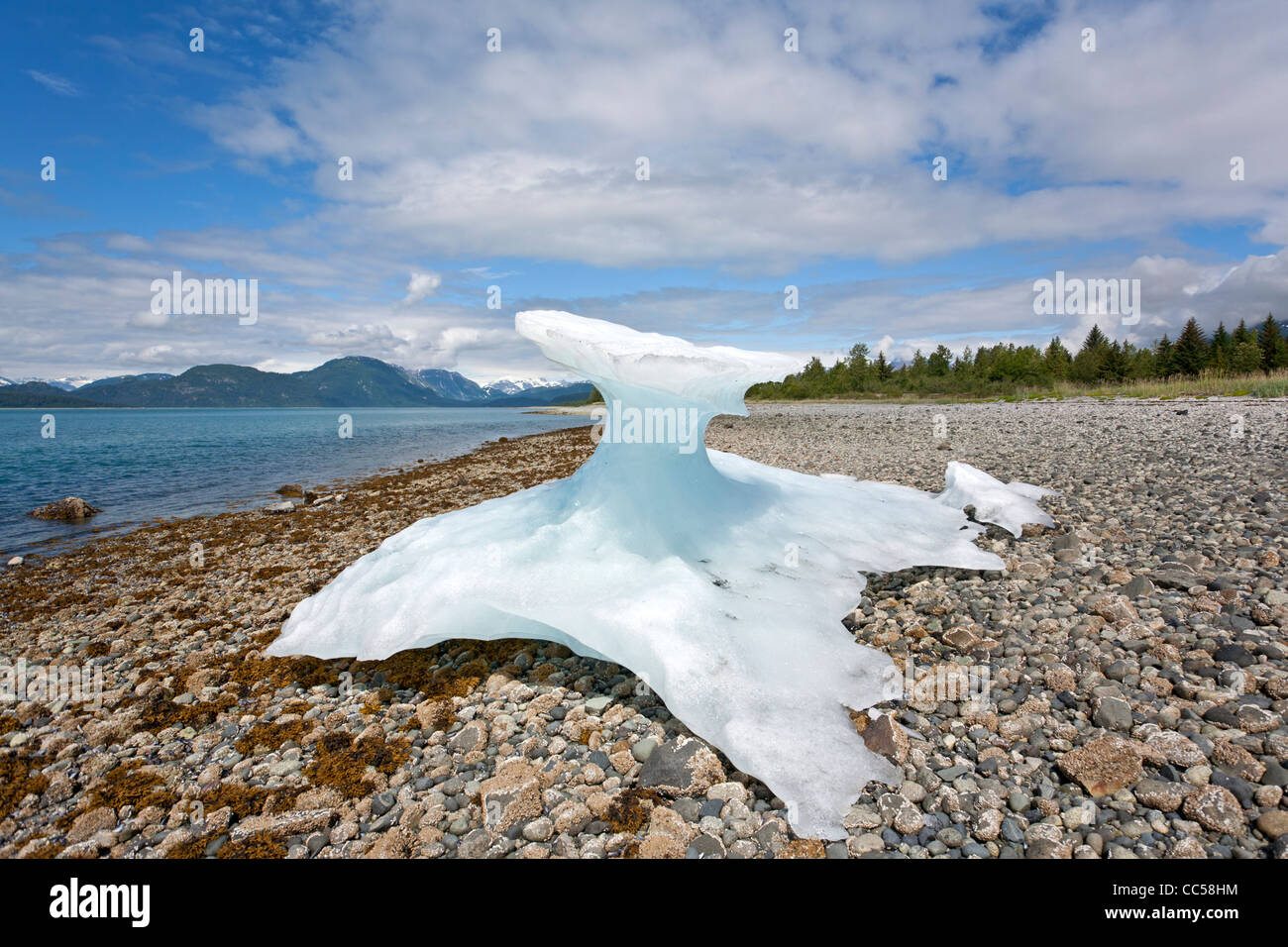 Iceberg trapped on the shore at low tide. Muir Inlet. Glacier Bay ...