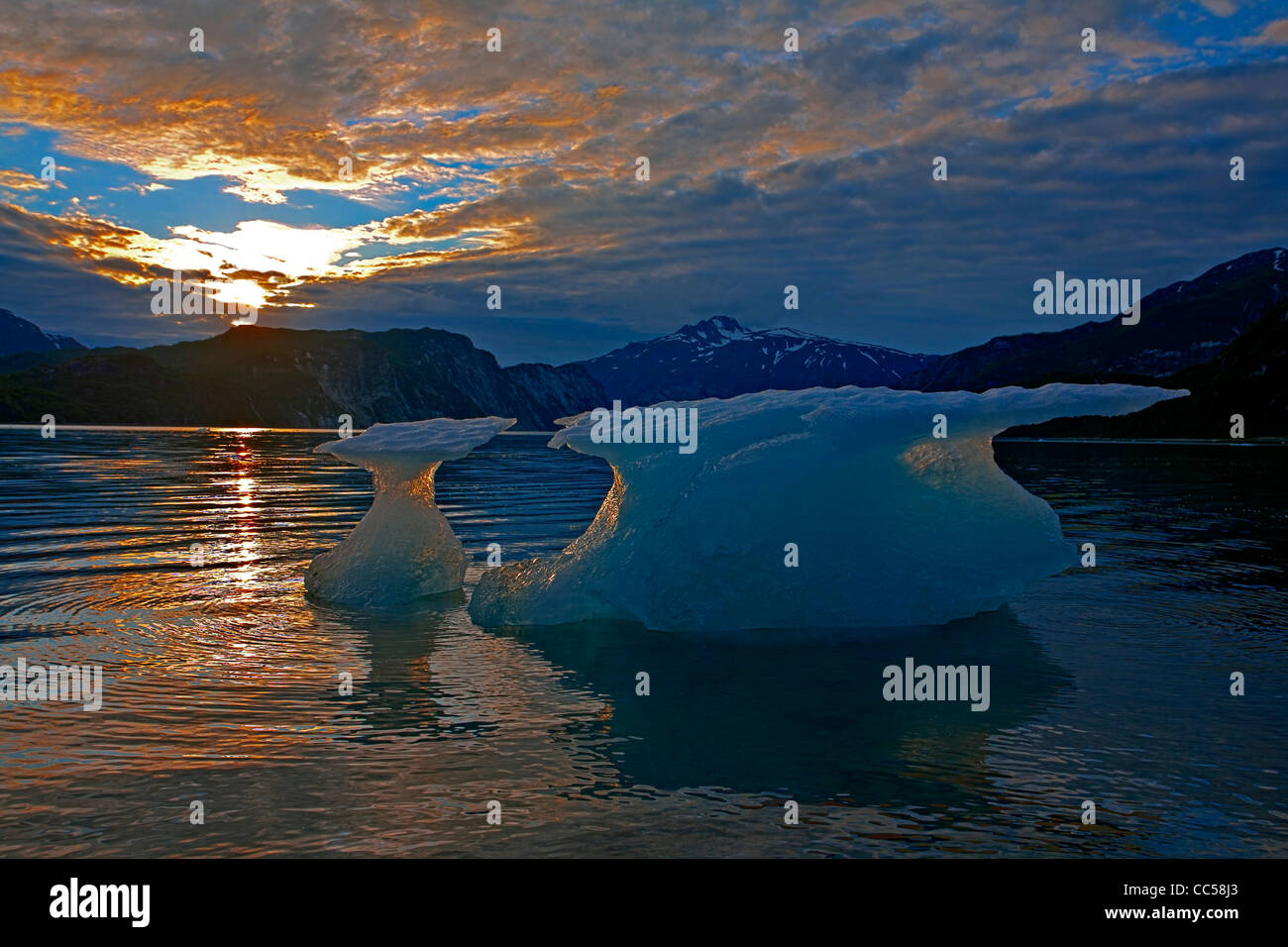 Icebergs floating in Muir Inlet. Glacier Bay National Park. Alaska. USA ...
