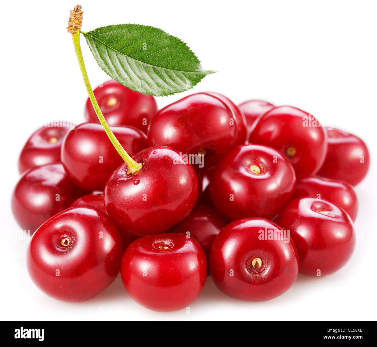 Perfect sweet cherries with the leaf isolated on a white background ...