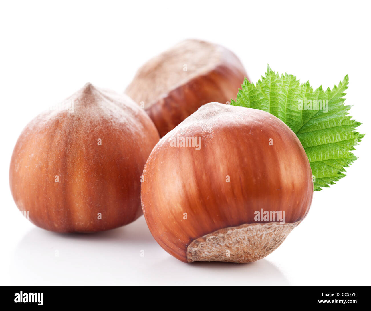 Nuts filberts isolated on white background Stock Photo - Alamy